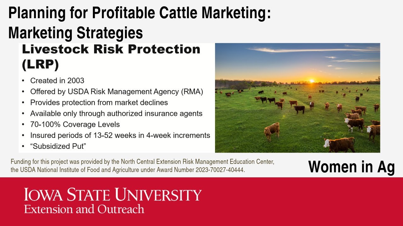 Planning for Profitable Cattle Marketing: Marketing Strategies Webinar ...