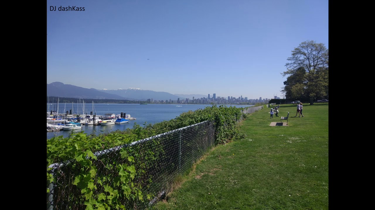 Persian Mix shad 2017-2018 Flying Leaves - YouTube