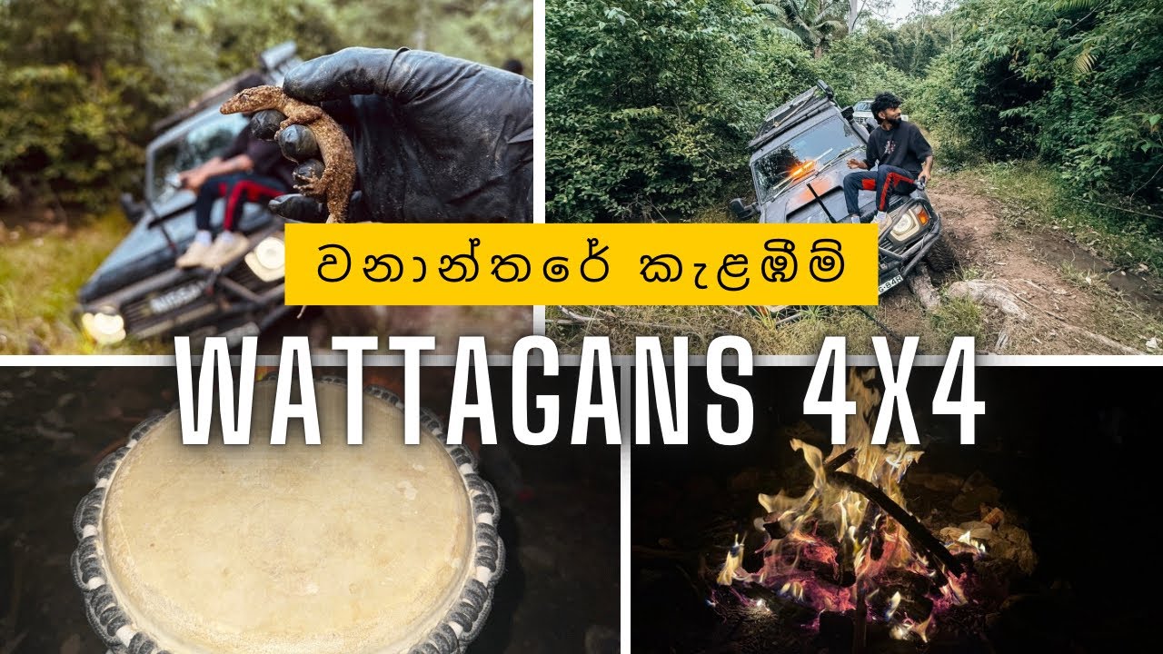 Broken Winch, Rare Lizard & Watagans Madness 4X4 CAMPING | වනාන්තරේ ...