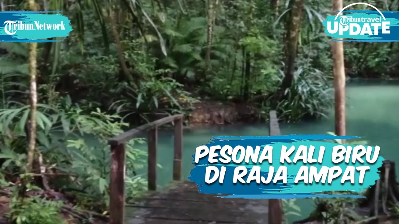 Kali Biru, Tempat Wisata di Raja Ampat Tawarkan Keindahan Alam hingga ...