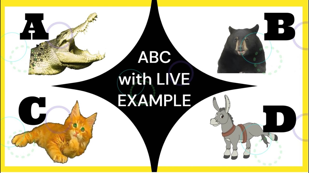 Learn abc Animal with live example || Abcd || Abcd in English || ABC ...