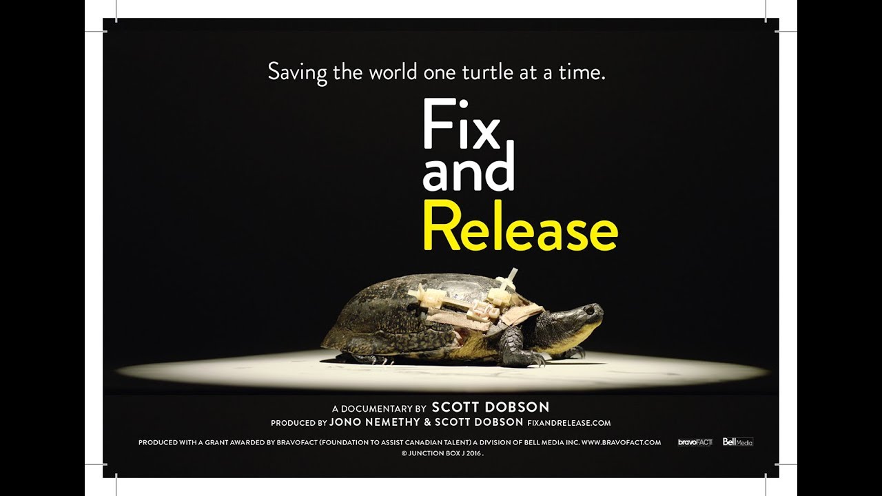 WDFF 2018 - Trailer for Fix And Release - YouTube