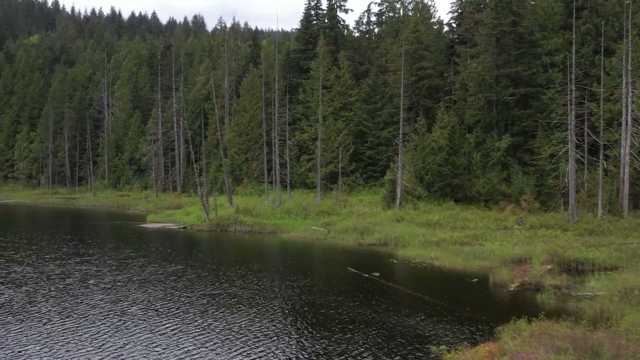 Aerial View for Mike Lake at Golden Ears Park BC - YouTube