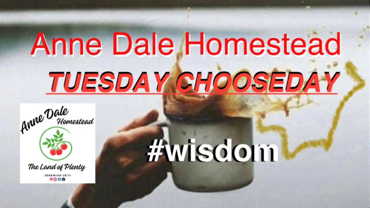 Tuesday ChooseDay #wisdom - YouTube