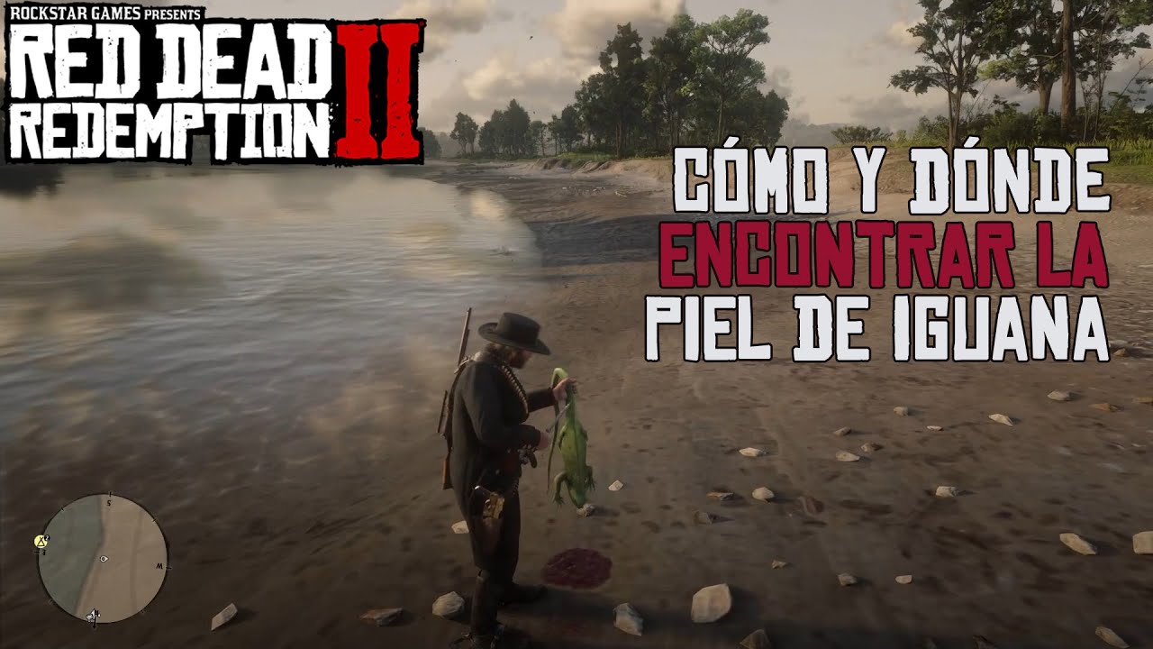 RDR2 - Como y donde conseguir la piel de Iguana en perfecto estado y ...