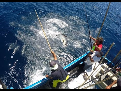 Fishing video, Pesca Açores, Sea surface fishing, Pesca de Salto e vara ...