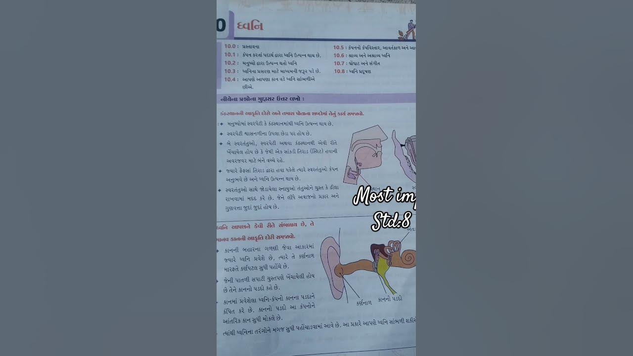 most important std-8 #video - YouTube