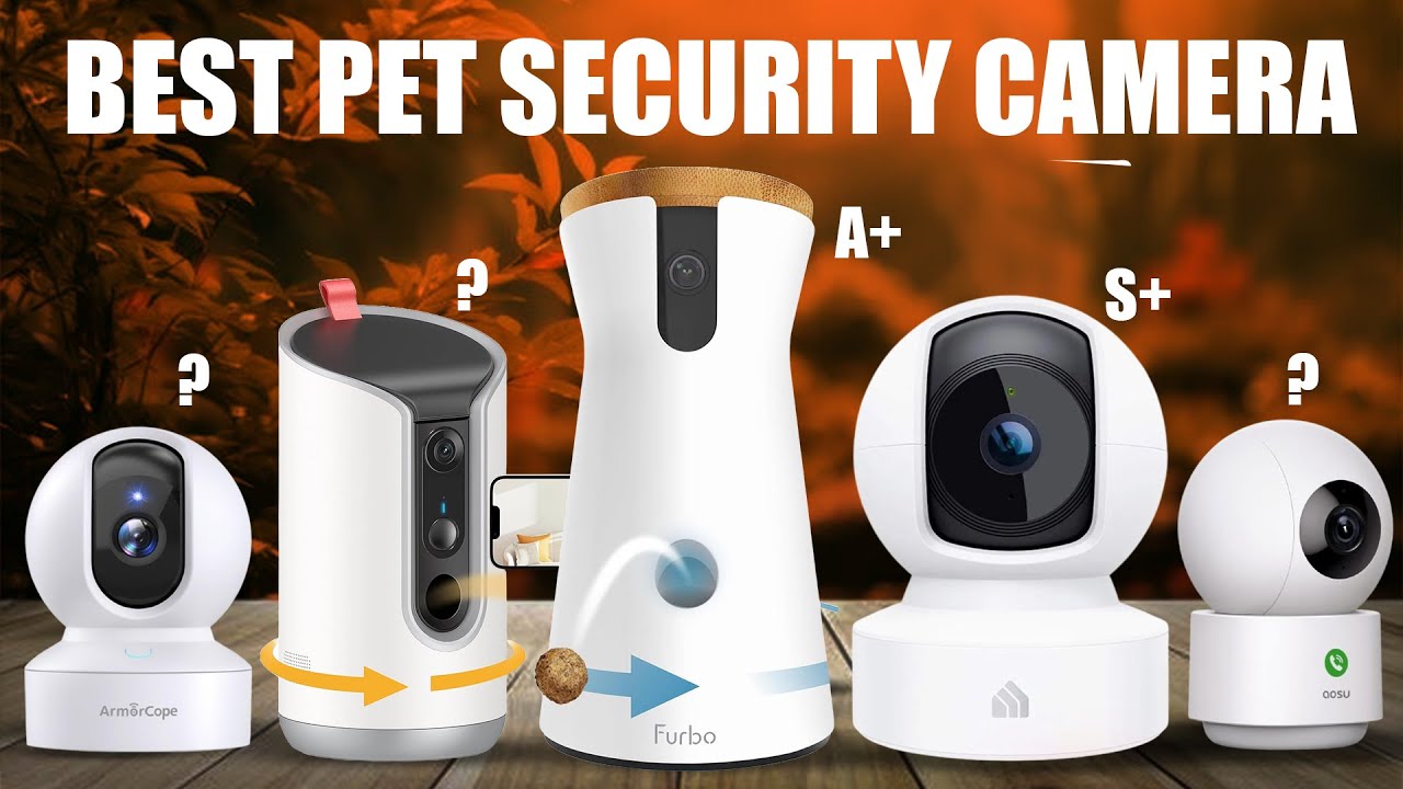 "Top 5 Best Pet Security Cameras of 2025: Ensure Your Pet's Safety with ...