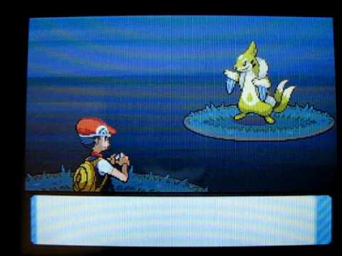 Shiny Floatzel (1 of 3) pokeradar chain 34 pokemon diamond, 1 in 240 ...