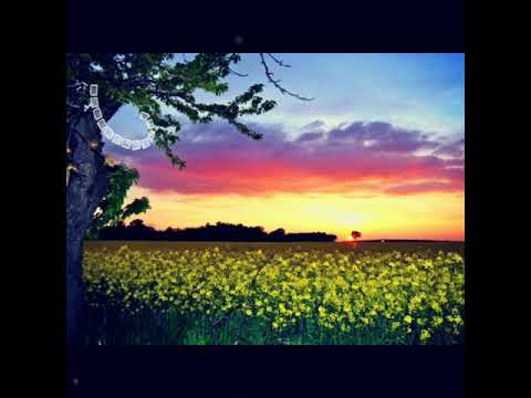 Mutluluk Neydi?... Şiir