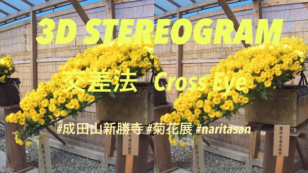 STEREOGRAM (Cross Eye 3D VR) | 交差法☆ステレオグラム | C27 STEREOSCOPIC - YouTube