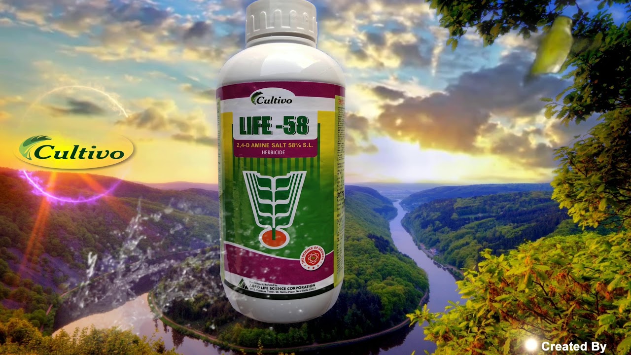 33) Life 58 - YouTube