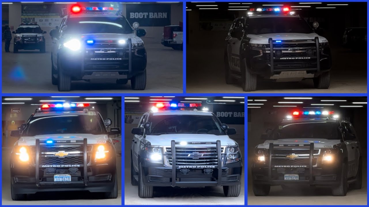 *14 K9 UNITS!* Las Vegas Metropolitan Police Department K9 Code 3 x14 ...