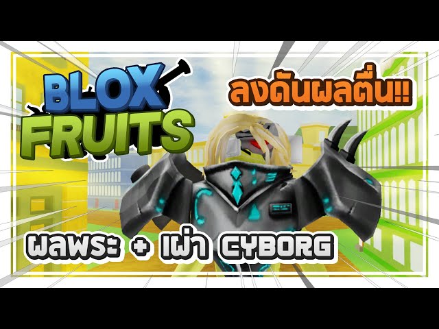 Roblox: Blox Fruits UPDATE 14 หัดลงดันกับคนดูด้วย ผลพระ + เผ่ากระสอบ ...