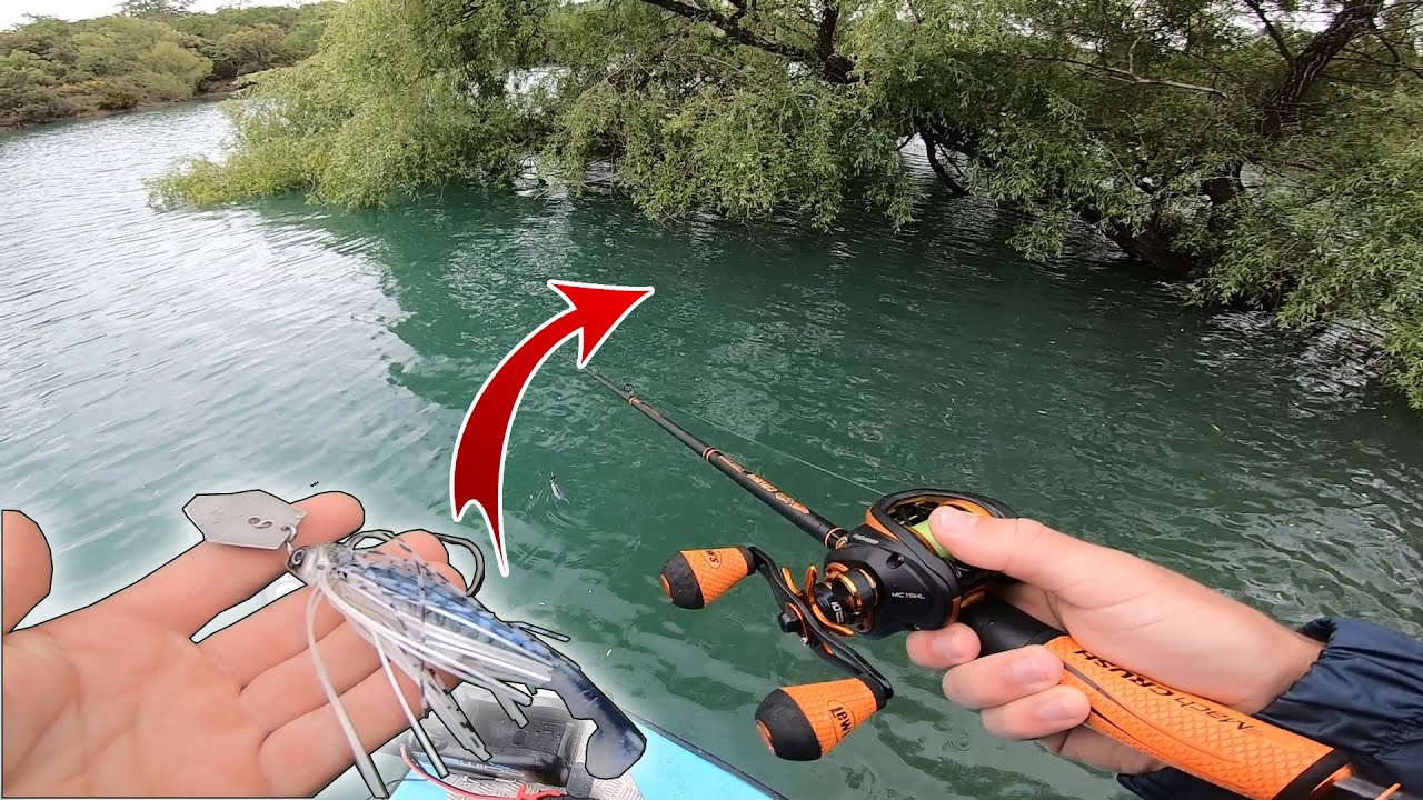 Poisson SURPRISE sur ce lac DECHAINÉ ! - YouTube