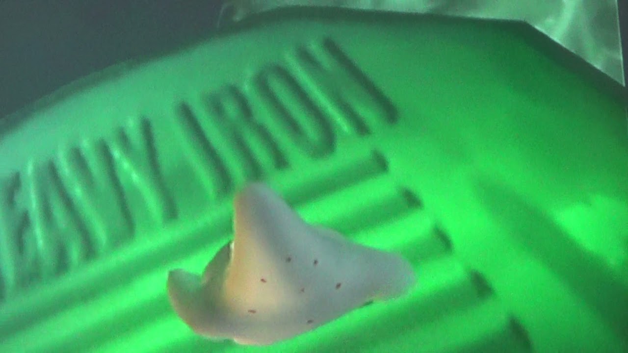 The SpongeBob Movie Video Game: Heavy Iron Easter Egg - YouTube