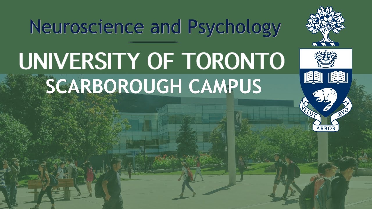 UTSC - Neuroscience & Psychology program - YouTube