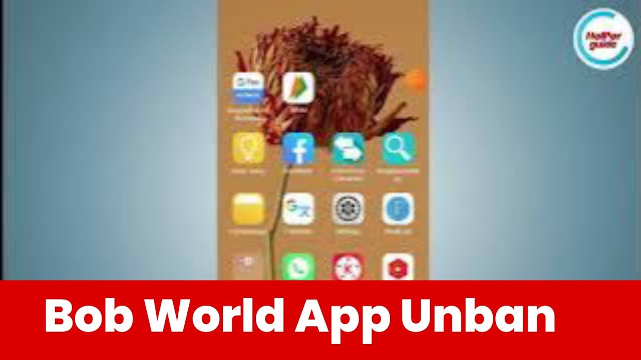 Bank Of Baroda Bob World App Unban 2024 | RBI New Update | RBI Bob ...