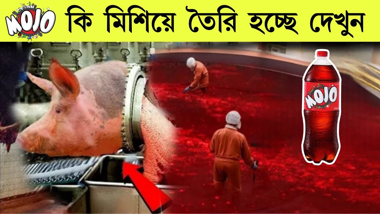 এভাবেই মোজো তৈরি করা হয় ফ্যাক্টরিতে নিজেই দেখুন Mojo Factory - YouTube