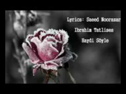 Haydi soyle sözleri