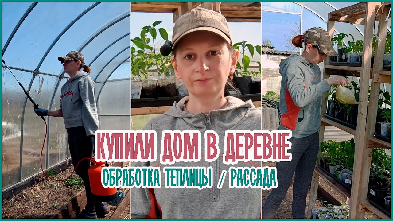 🏡 Купили дом в деревне Обработка теплицы Рассада Youtube