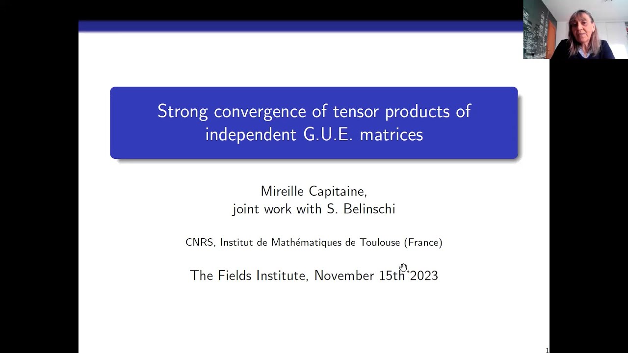 Strong convergence of tensor products of independent G.U.E. matrices ...