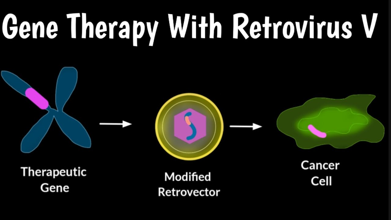 Gene Therapy Using Retrovirus Vector - YouTube