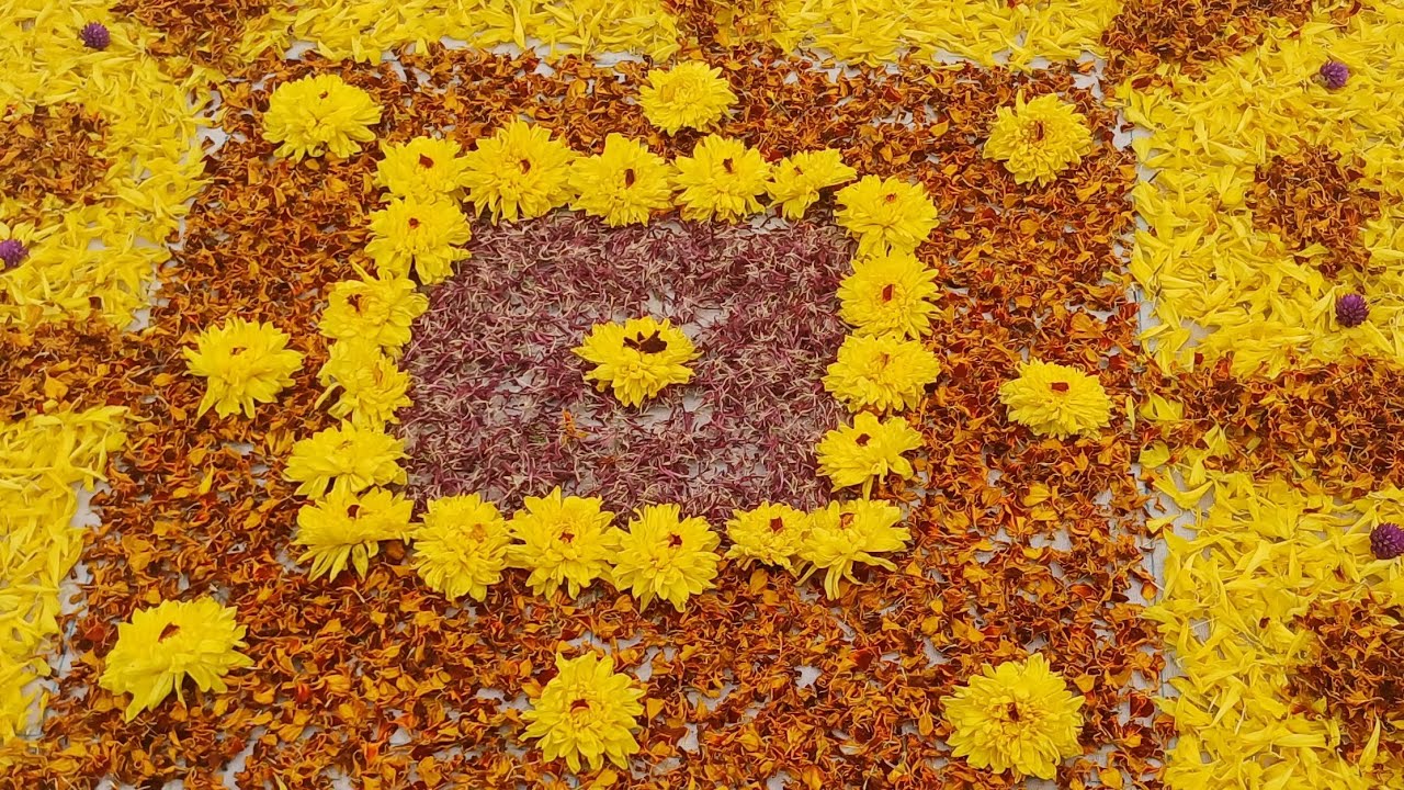 Mahashivratri Special Shiv Darshan - YouTube