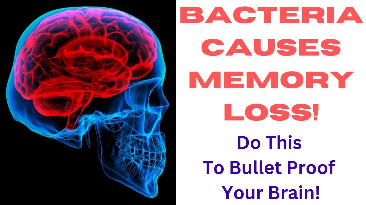 👵👨‍🦳Defrag Your Brain - Senior Moments? Brain Fog? Slow Recall? Root ...