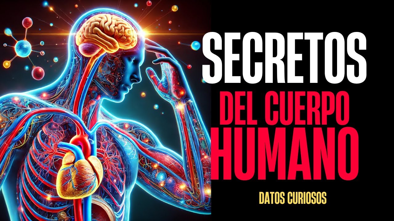 10 datos curiosos sobre el CUERPO HUMANO - YouTube