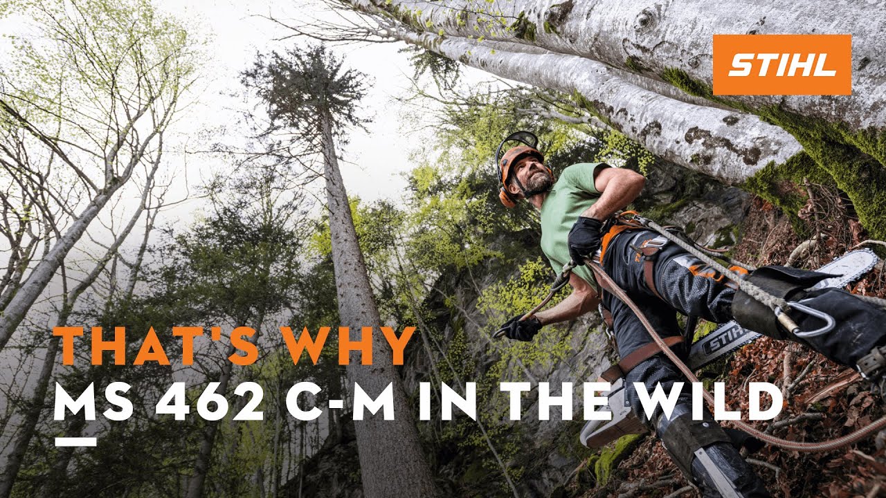 STIHL MS 462 C-M | A chainsaw-test in the wild | That's why - YouTube