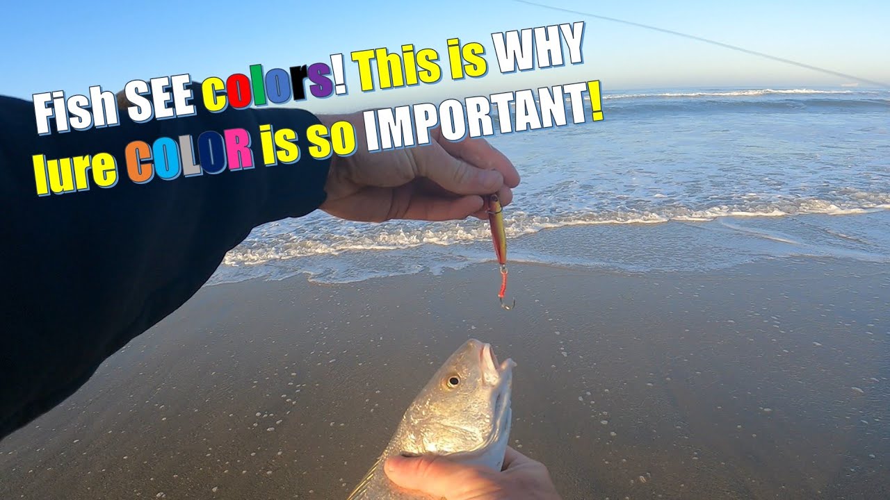 Fish SEE colors! This is WHY lure COLOR is so IMPORTANT! - YouTube