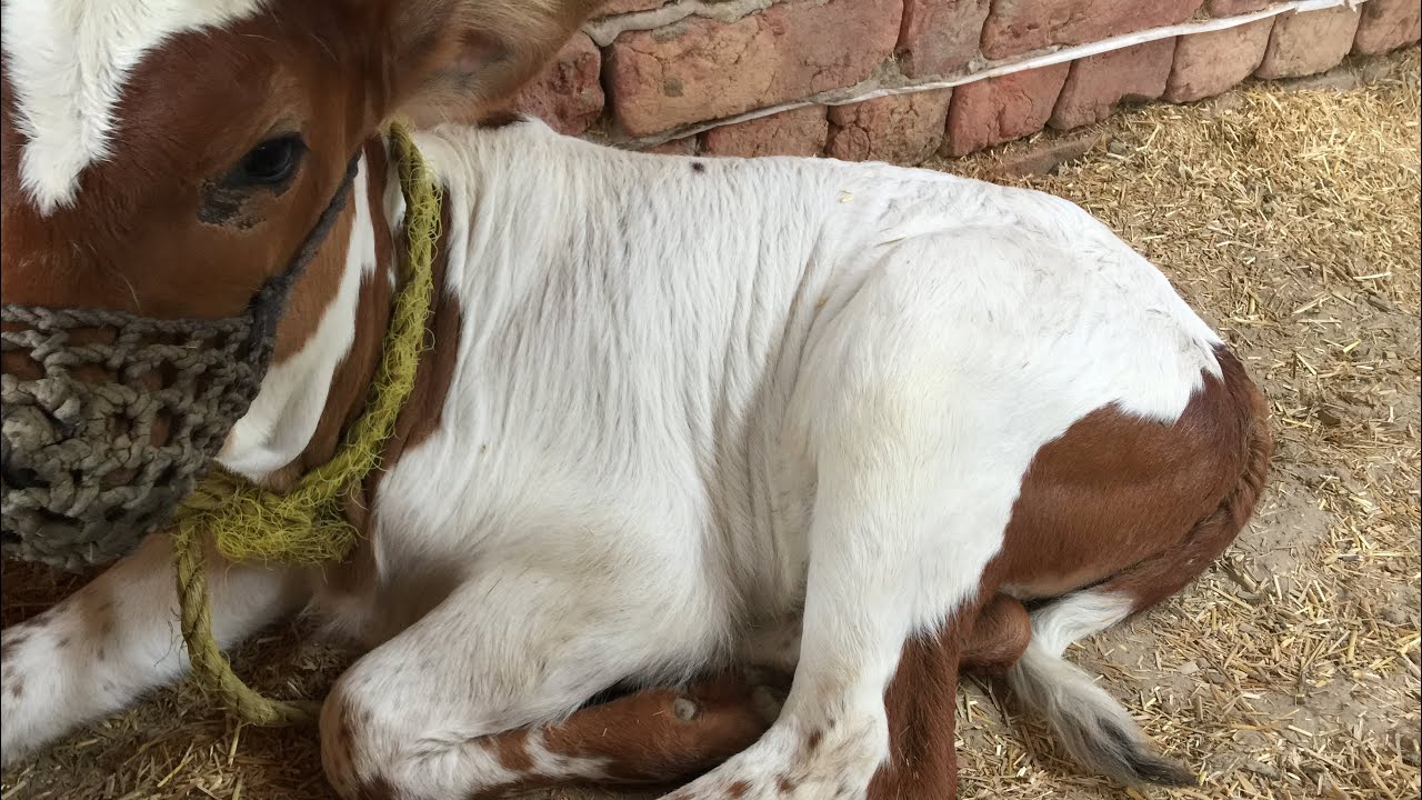 Happy day ASDF - YouTube