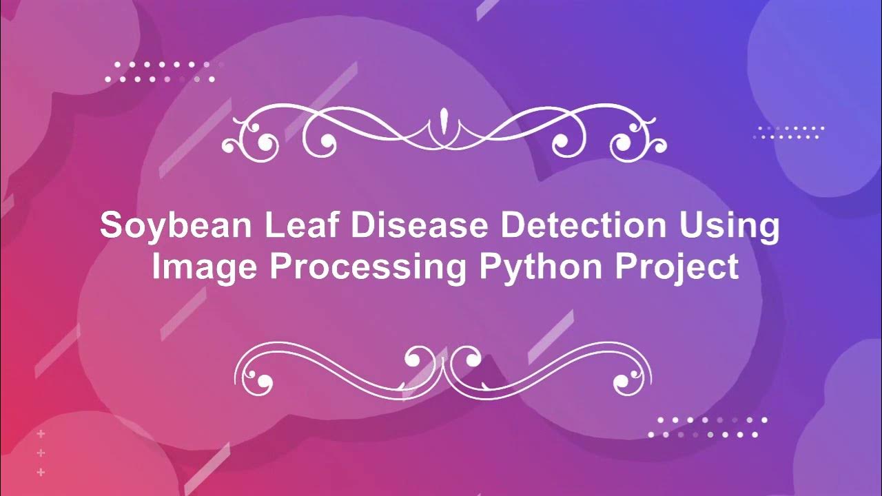 Soybean Leaf Disease Detection Using Image Processing | Python Project With Source Code - YouTube