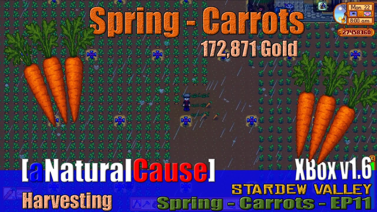 [Stardew Valley - Spring] Carrots - Harvesting - Rain - EP 11 - Stardew ...