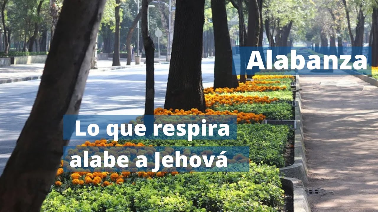 Lo que respira alabe a Jehová. - YouTube
