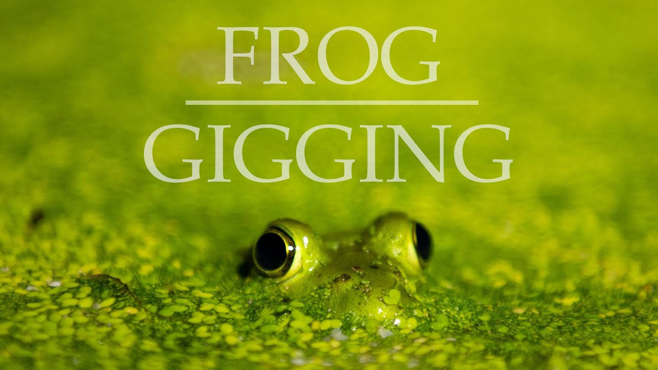 Frog Gigging - YouTube