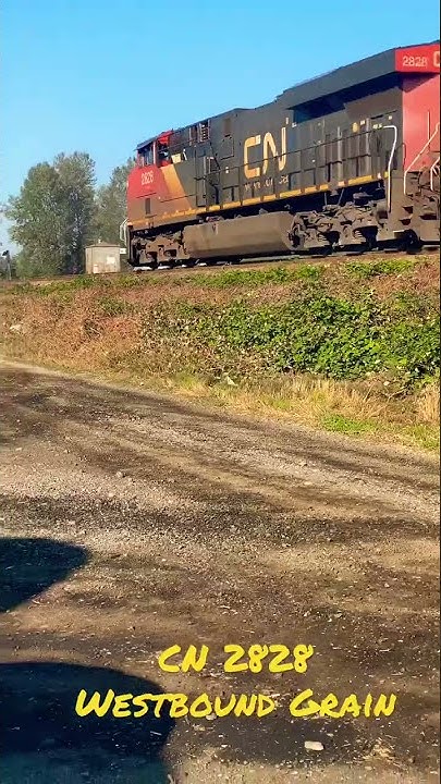 CN 2828 Westbound Grain. Matsqui, BC. #train #trainvideo #canada #railway #trainspotting - YouTube