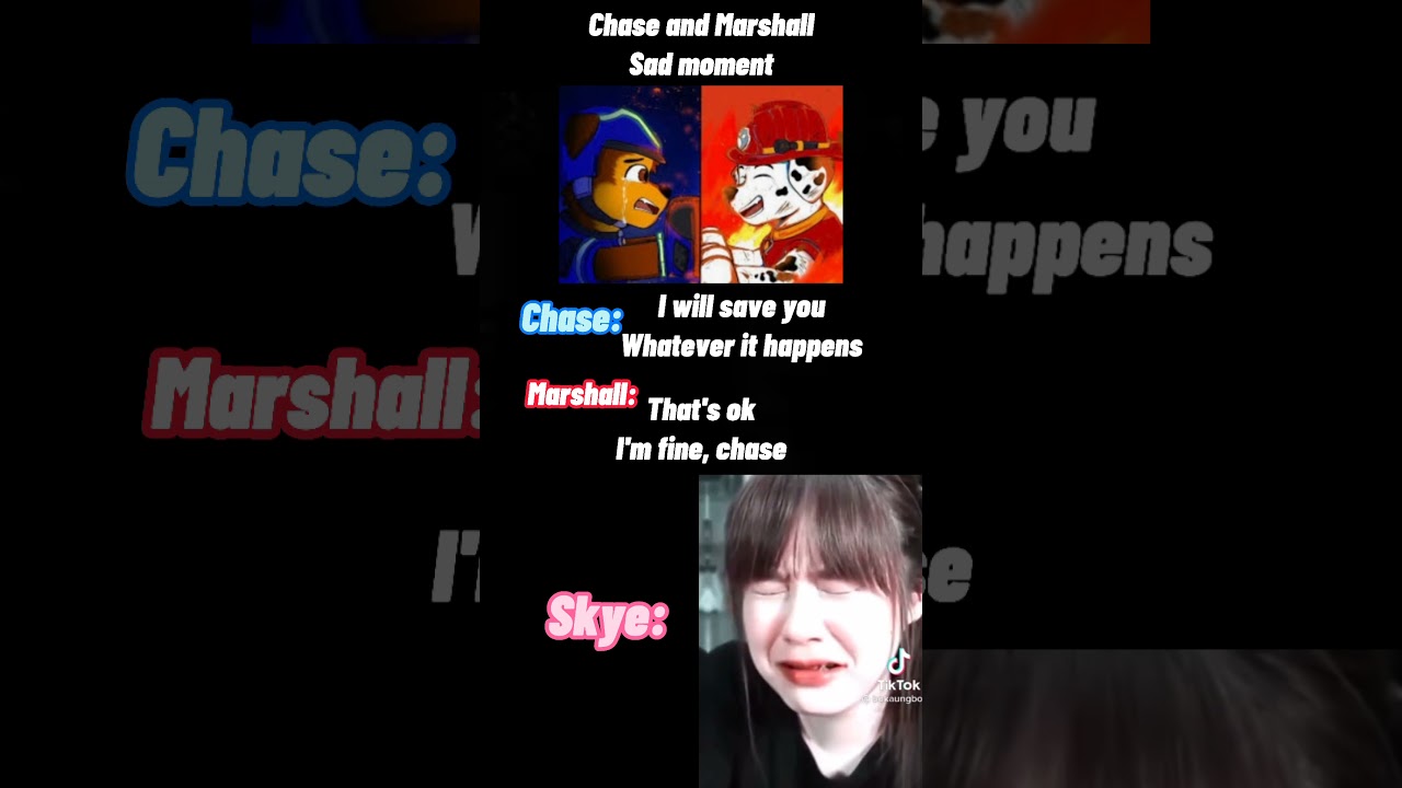 Paw patrol chase and Marshall sad moment 😢 - YouTube