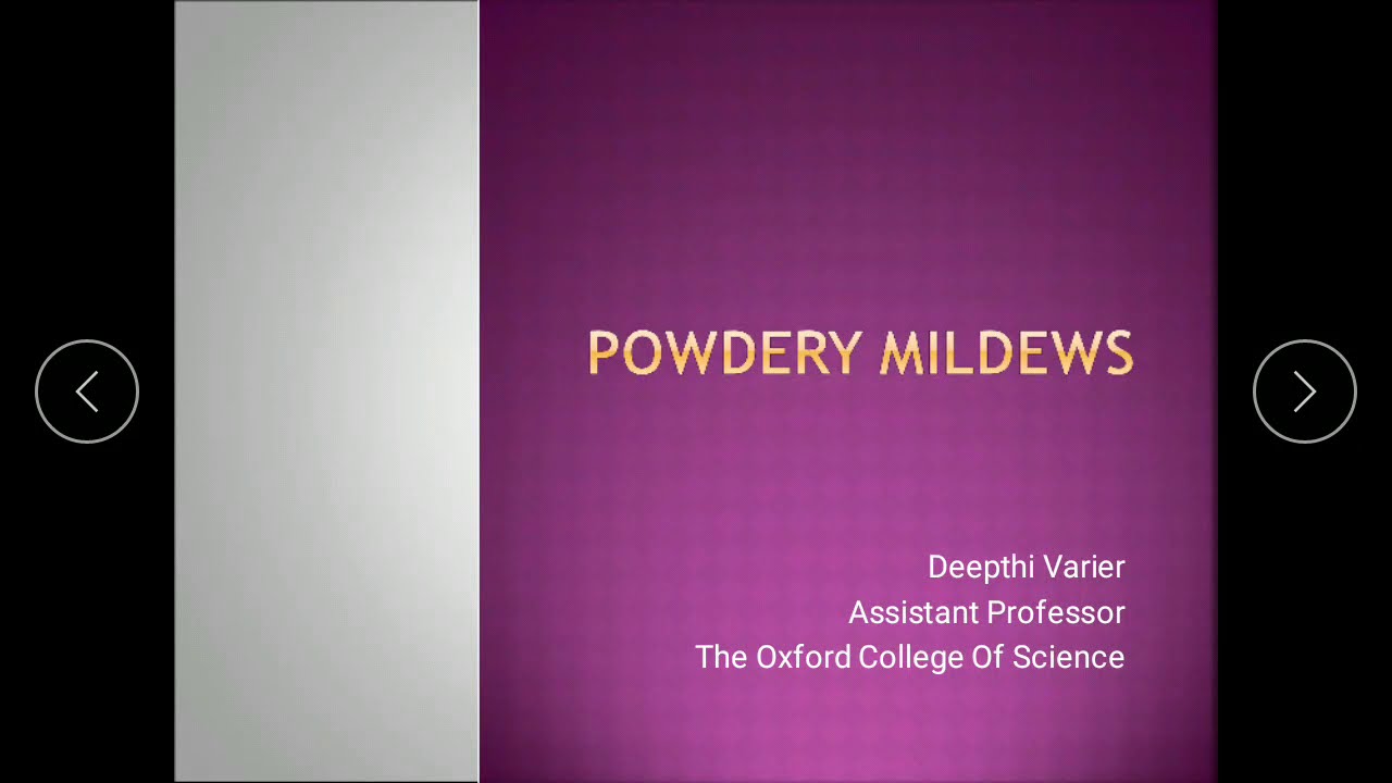 Powdery Mildews | Plant pathogens - YouTube