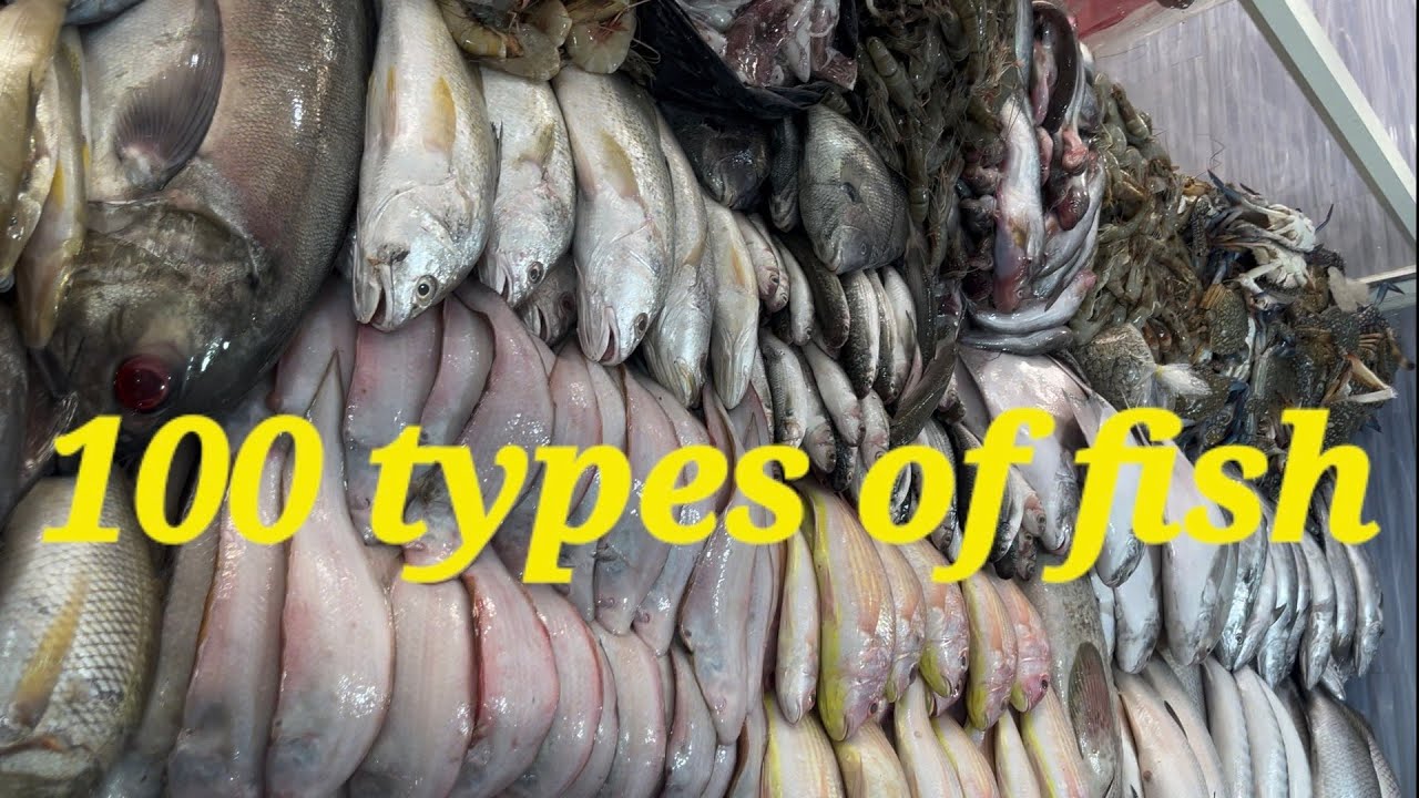 100 types of fish available!! sagar fish world hoodi Bangalore 2024 ...