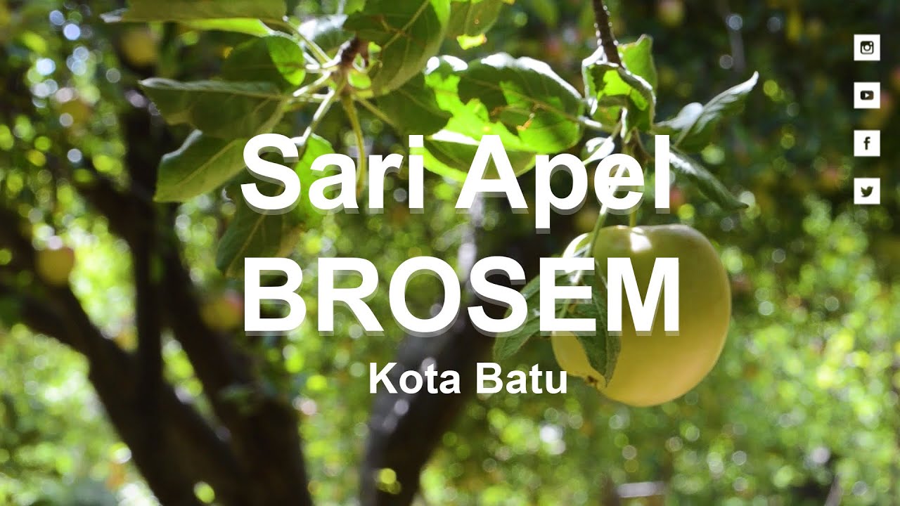 Video Promosi - Sari Apel Brosem Kota Batu #Batu #SariApelBrosem - YouTube