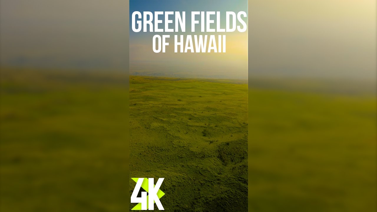Aerial Views of Hawaii - Green Fields of Big Island + Nature Sound - 4K ...