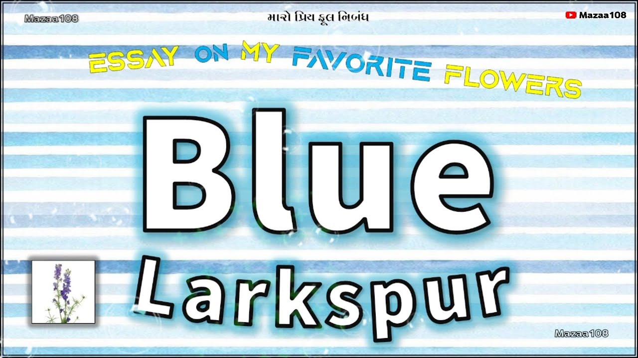 Blue Larkspur , Blue Larkspur Flower , Essay On Blue Larkspur Flower , My Favourite Flower Blue ...
