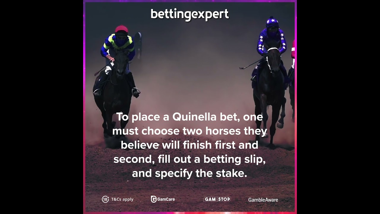 Quinella Bet Explained