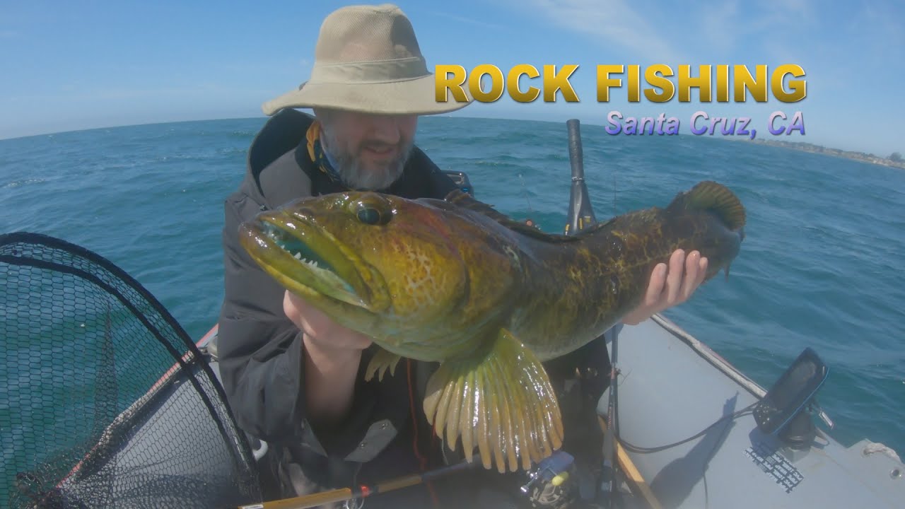 Springtime Lingcod Fishing Santa Cruz, CA 2020 - YouTube
