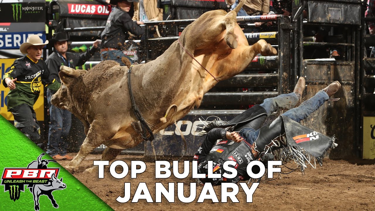 Top Bull Scores From All Premier Series Events in January | 2020 - YouTube