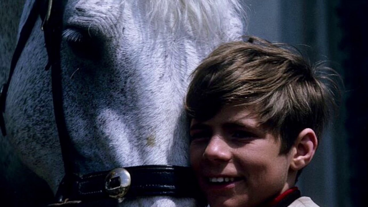 Heintje - Mamatschi - YouTube