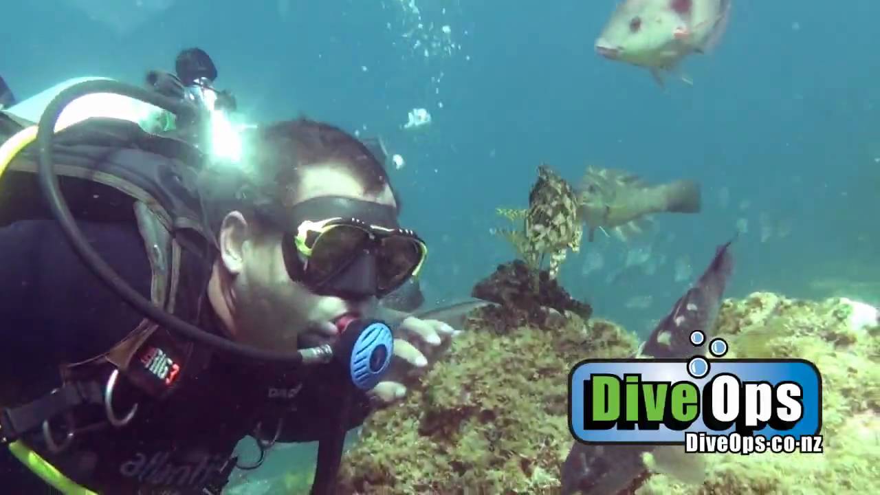 Dive Ops - YouTube