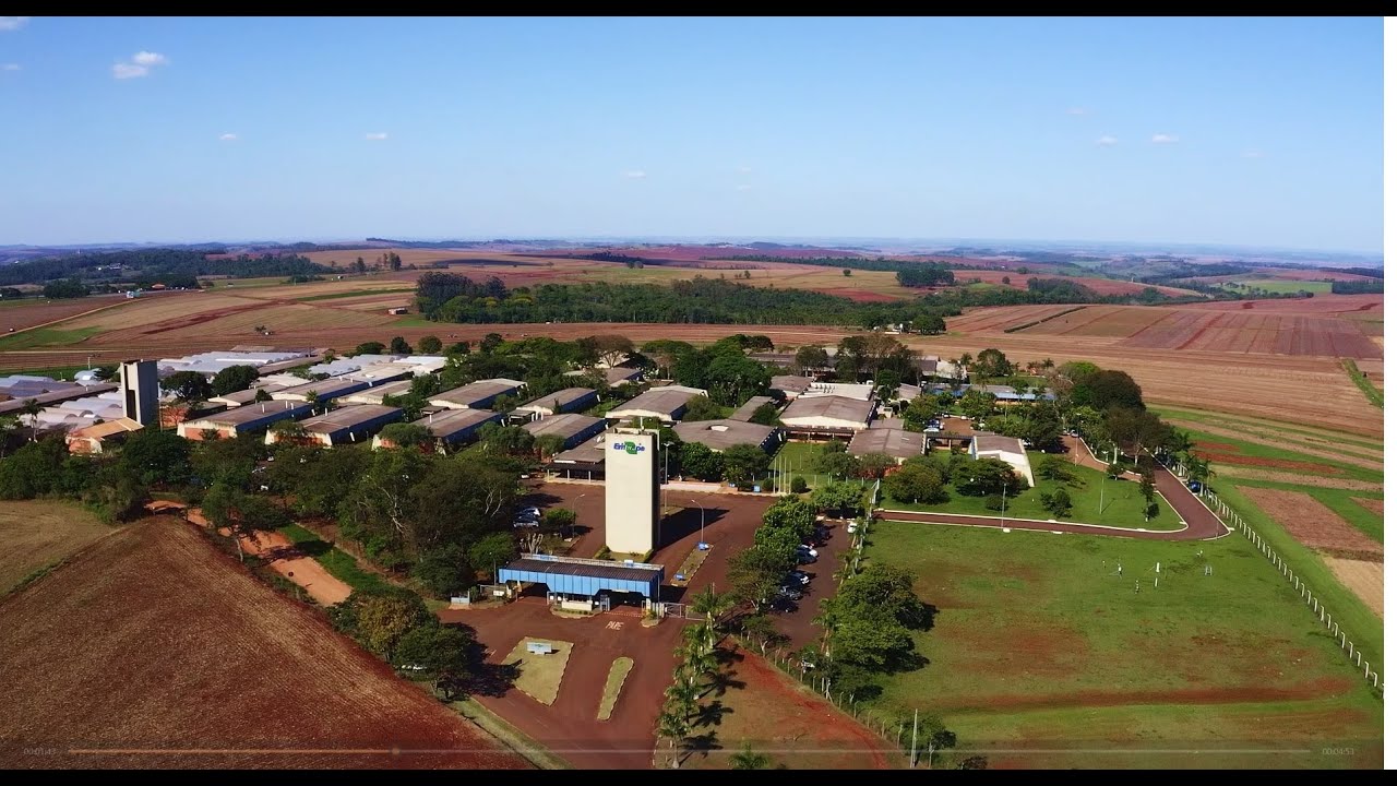 Embrapa Soybean | Institutional video - YouTube